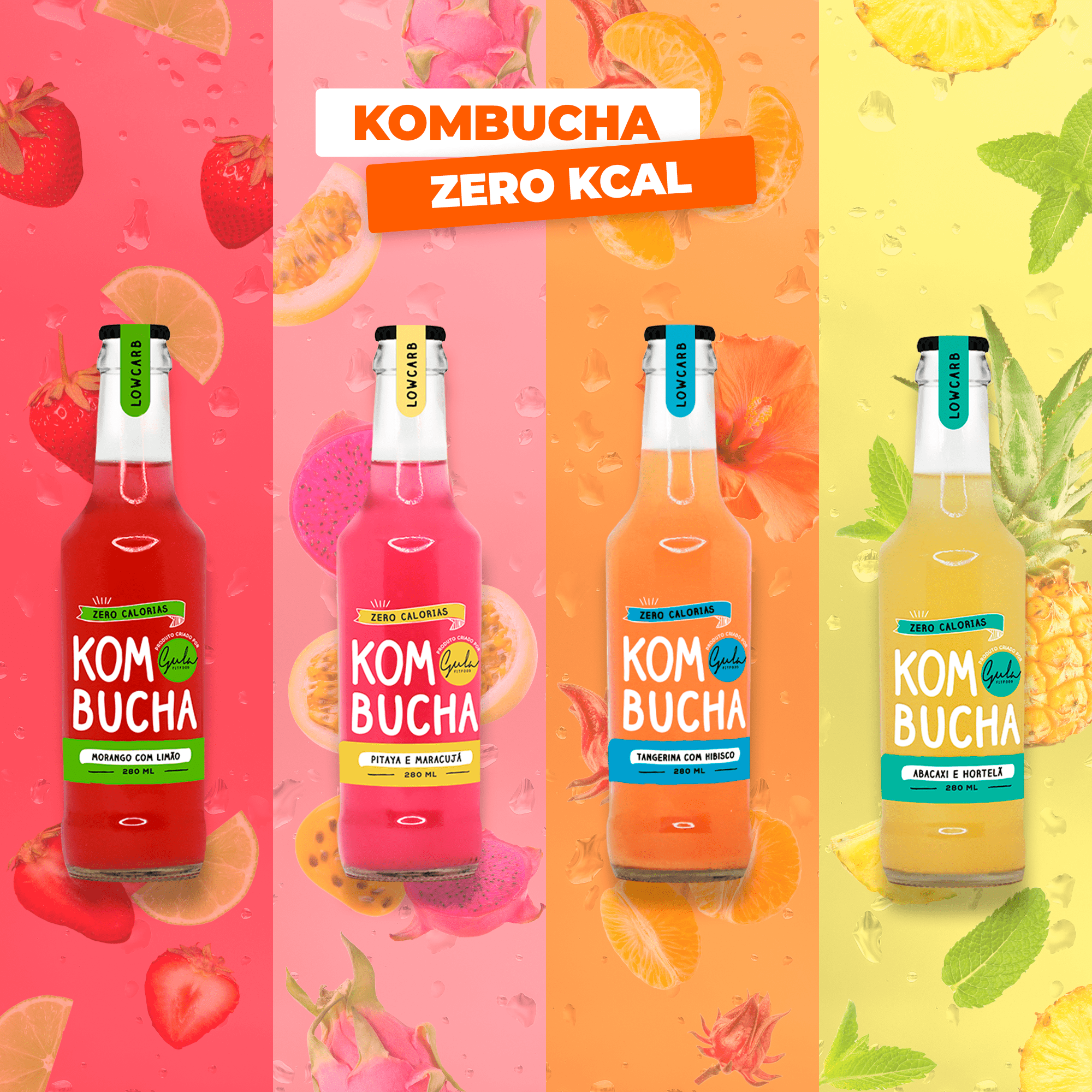 O que é Kombucha? - Gula Fit